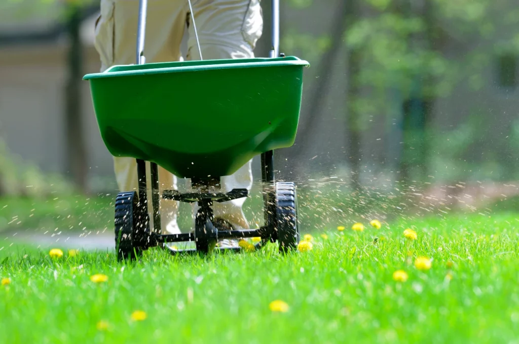 Lawn care programs - Barnes Nursery